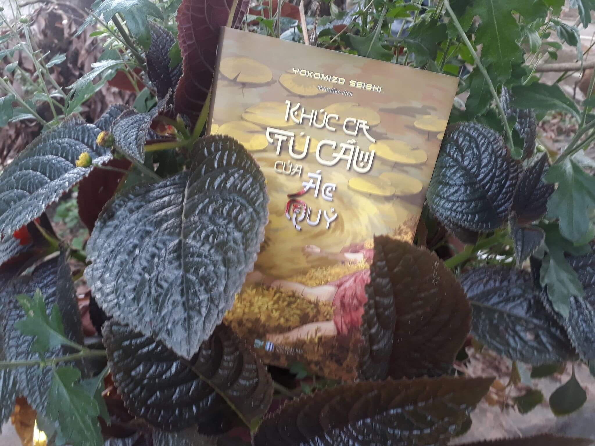 Khúc Ca Tú Cầu Của Ác Quỷ (Yokomizo Seishi) – Khúc ca chết chóc vọng ...